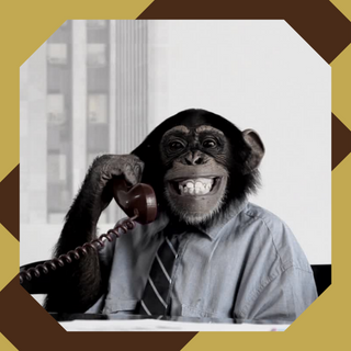 Charge(e) de communication – 3 Monkeys Publishing